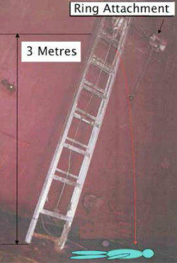 201443 Three metre fall causes death