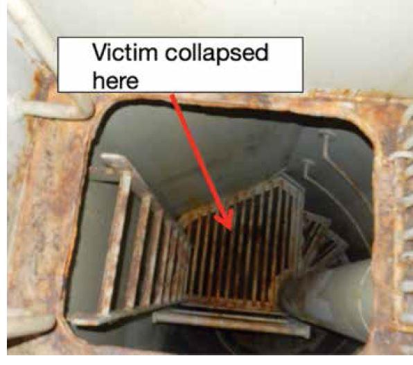 201941 Stevedore fatality in enclosed hold ladder space